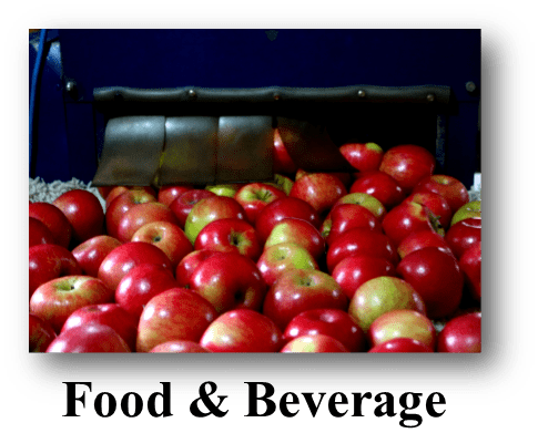 Machine Vision for Food and Beverage Industries